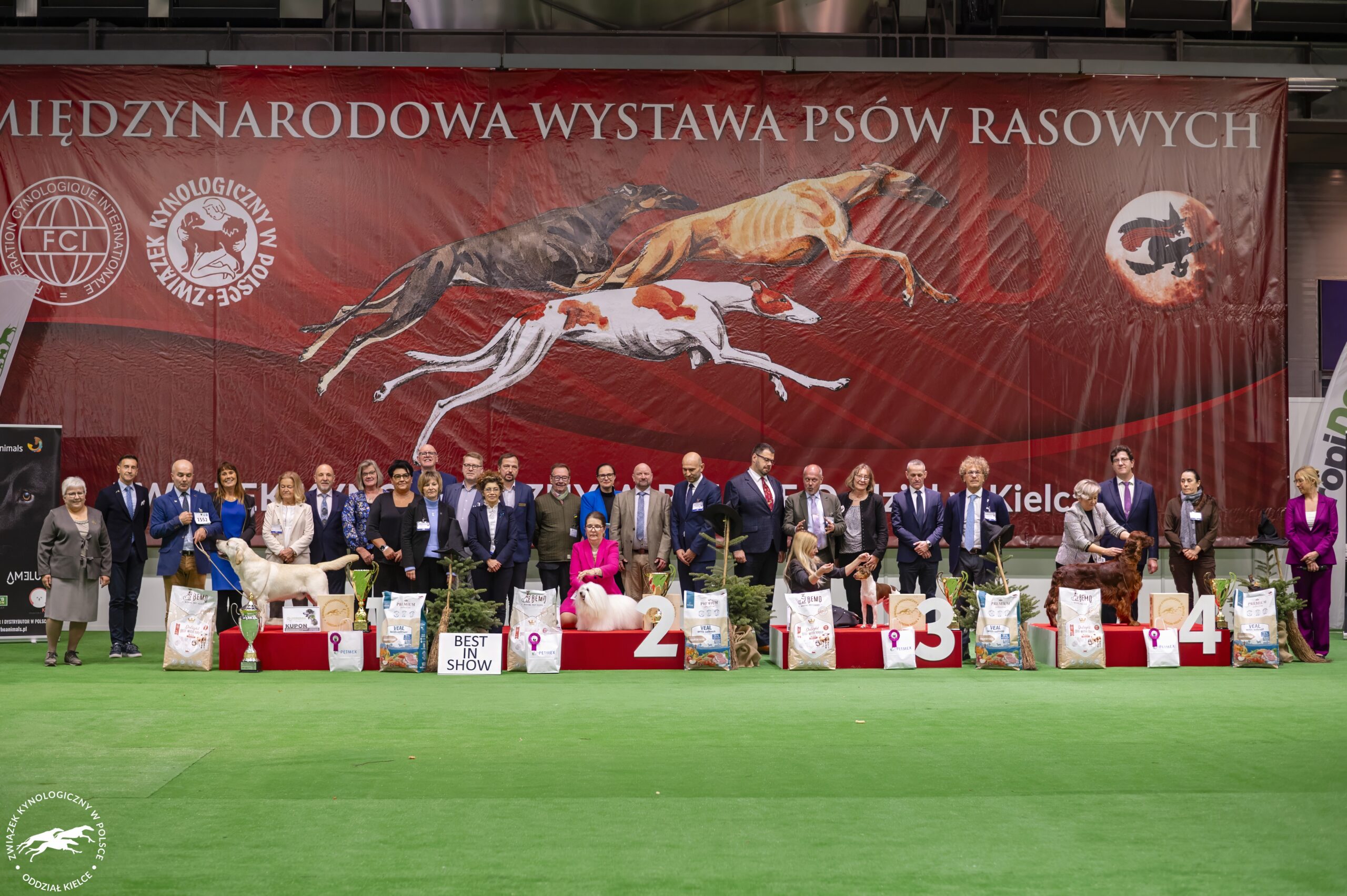 30.11-1.12.2024 - Fotorelacja z wystaw - Związek Kynologiczny w Polsce